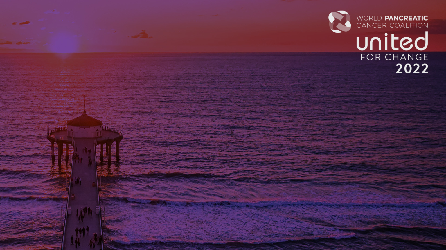 2022-WPCC-Zoom-Background-03 - World Pancreatic Cancer Coalition